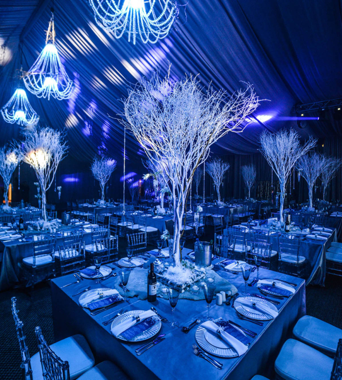 Centrepieces - Designer Chair Covers To Go